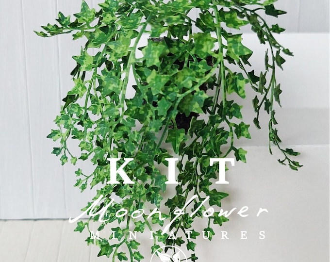 KIT Miniature Climbing Ivy Flower Plant #medium Green Garden Dollhouse ...