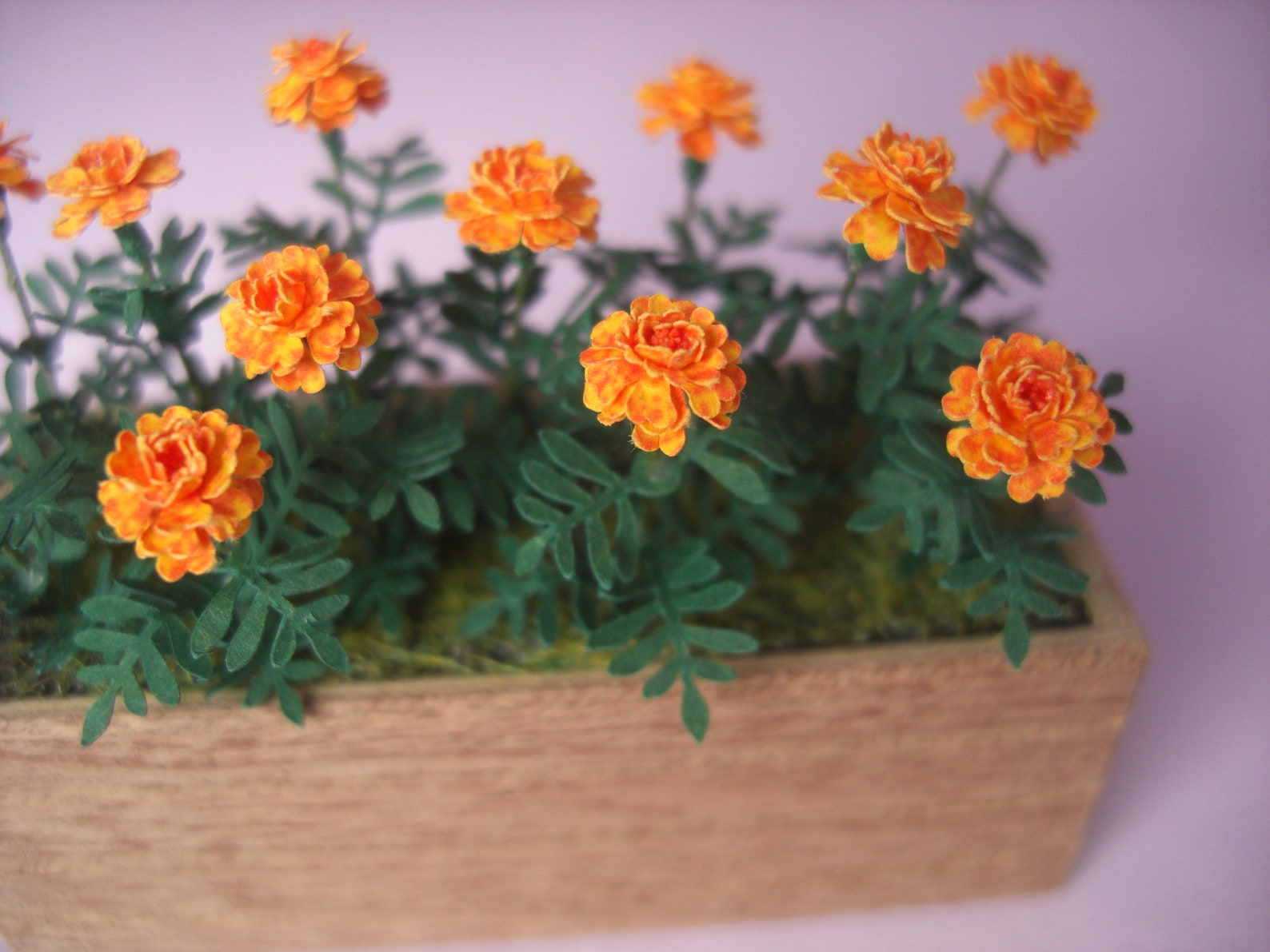 KIT Marigold ORANGE Miniature Garden Dollhouse Flower Kit, Scale 1:12 ...