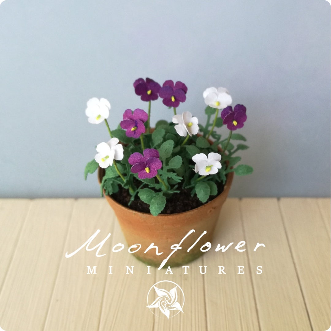 KIT Large Pansy Beacon (mix), Miniature Garden Dollhouse Kit, Scale 1: ...