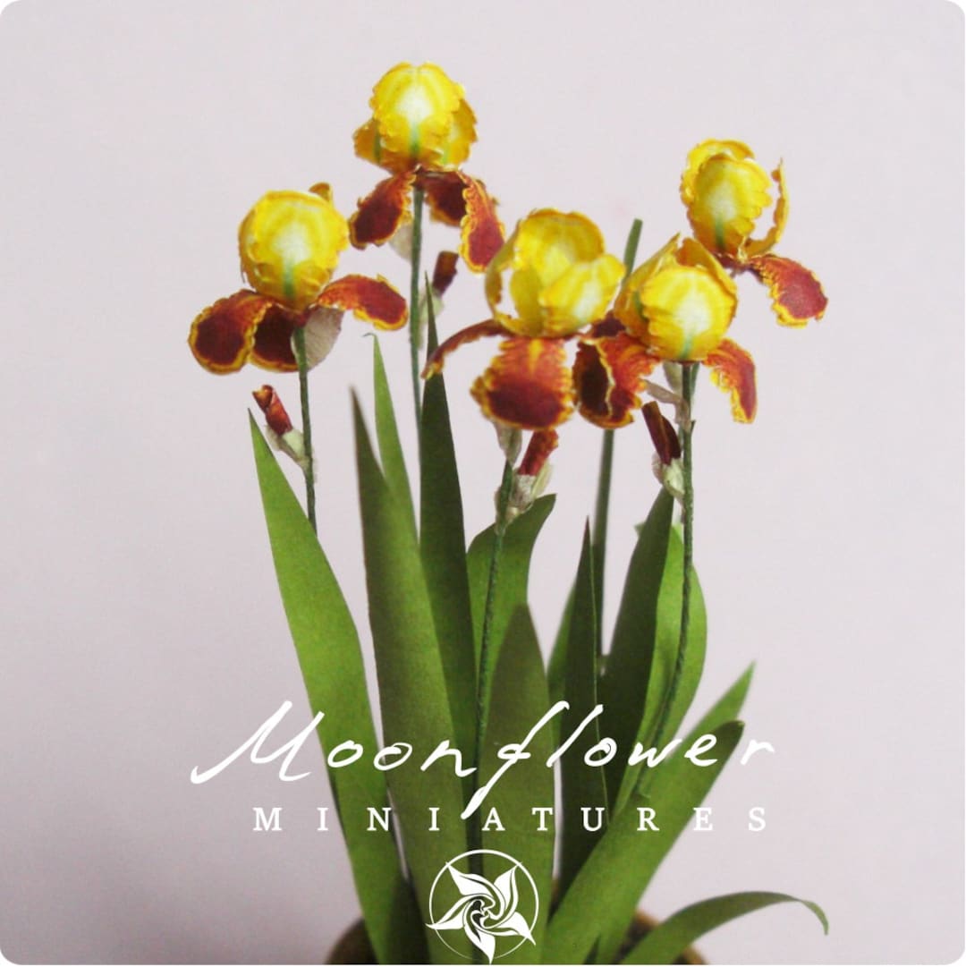 Miniature Kit yellow Rust Bearded Iris, Garden Flower, Scale 1:12, DIY ...