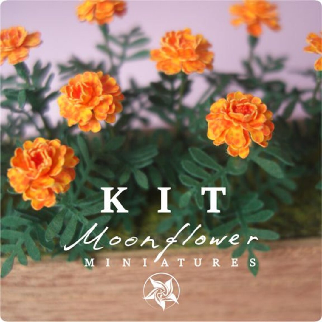 KIT Marigold ORANGE Miniature Garden Dollhouse Flower Kit, Scale 1:12 ...