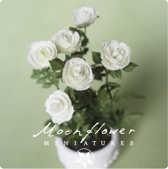 Miniature Kit Rose ivory Dollhouse Garden Flower - Etsy