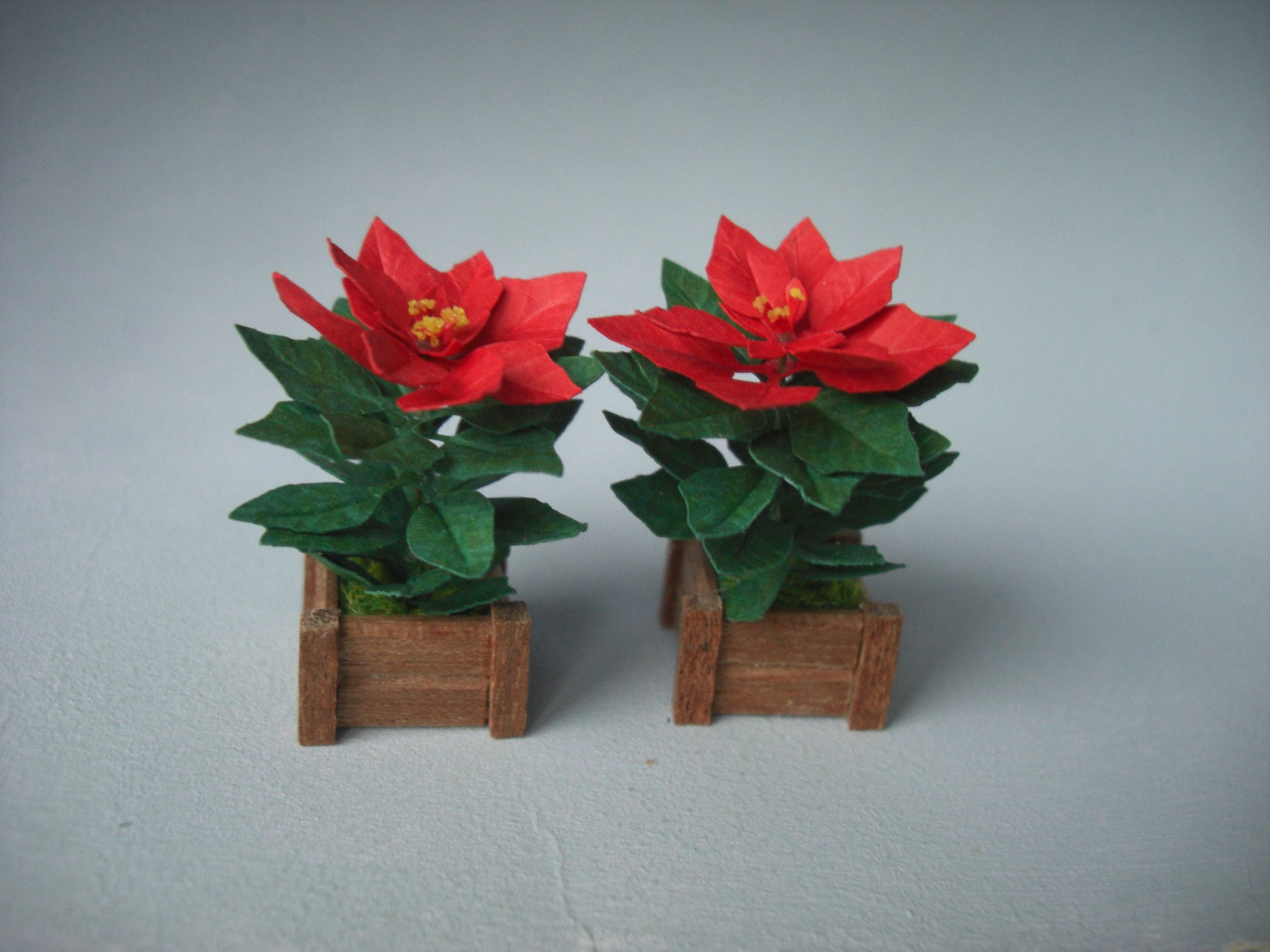 Miniature KIT Poinsettia Flower Plant Christmas Garden Flower, Scale 1: ...