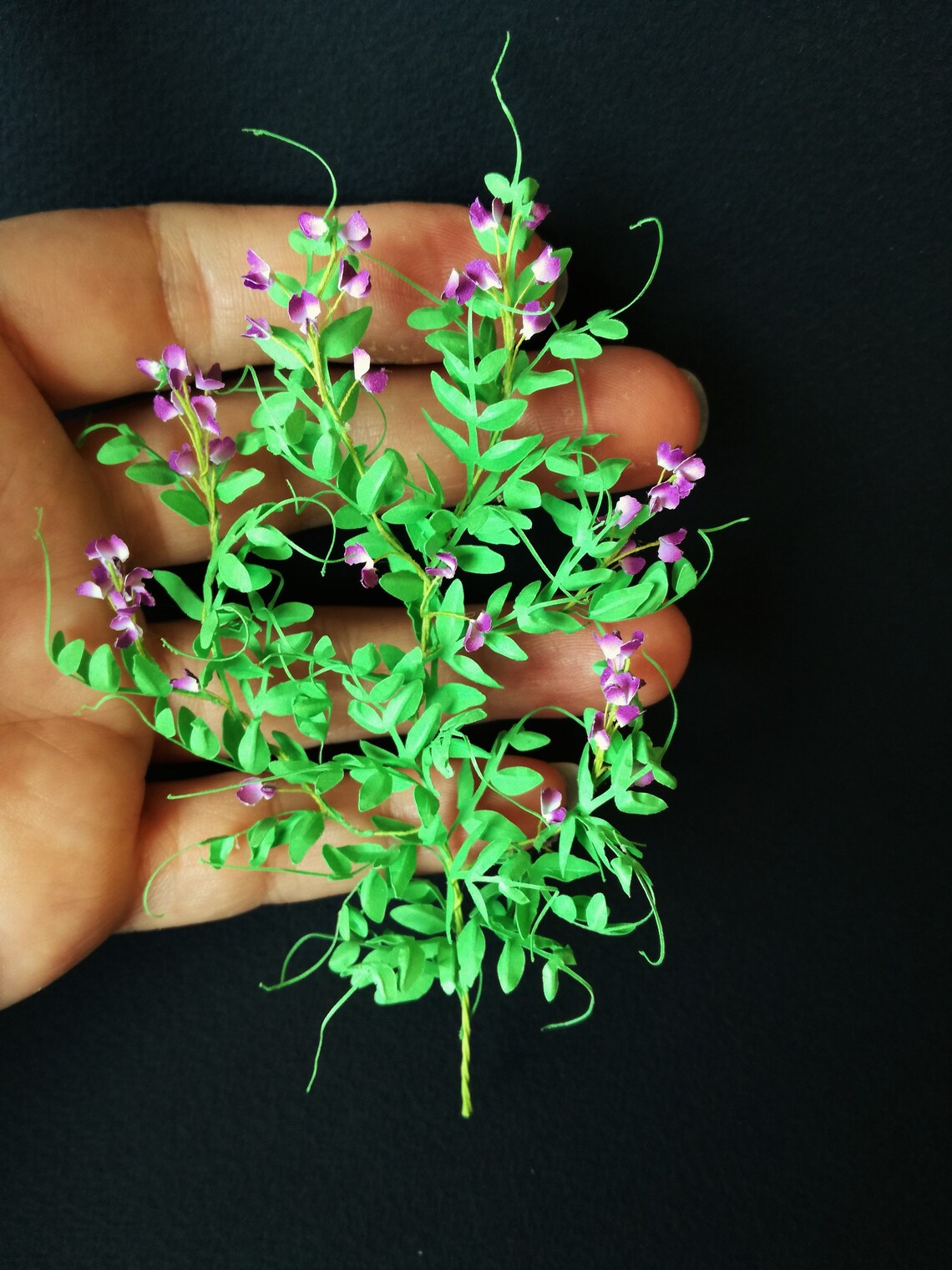 KIT purple Sweet peas plant climbing miniature flowers scale | Etsy