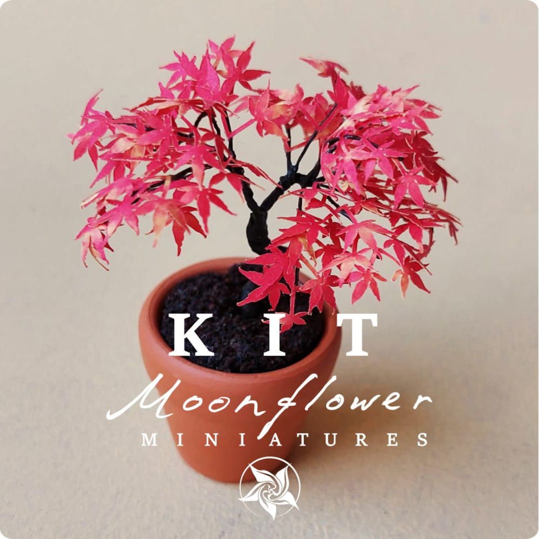 KIT Miniature #4 Maple Tree Bonsai Color Garden Dollhouse Flower Kit ...