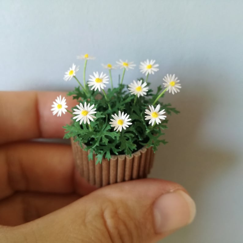 KIT Marguerite daisy flower Miniature garden dollhouse kit | Etsy