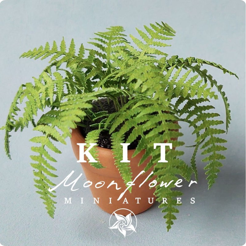 Miniature Fern - Etsy