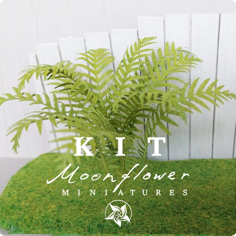 Miniature Fern - Etsy