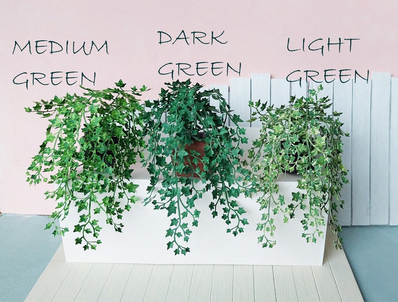 KIT Miniature Climbing Ivy Flower Plant medium Green Garden - Etsy