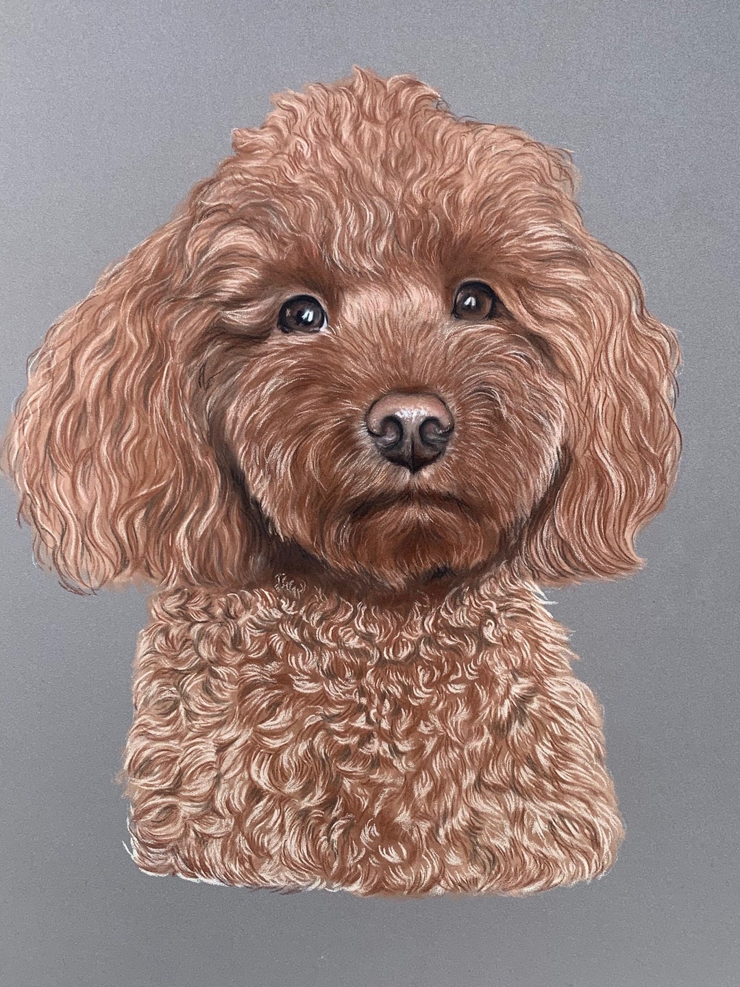Maltipoo Custom Pastel Hand Drawn Portrait Commission Drawing - Etsy