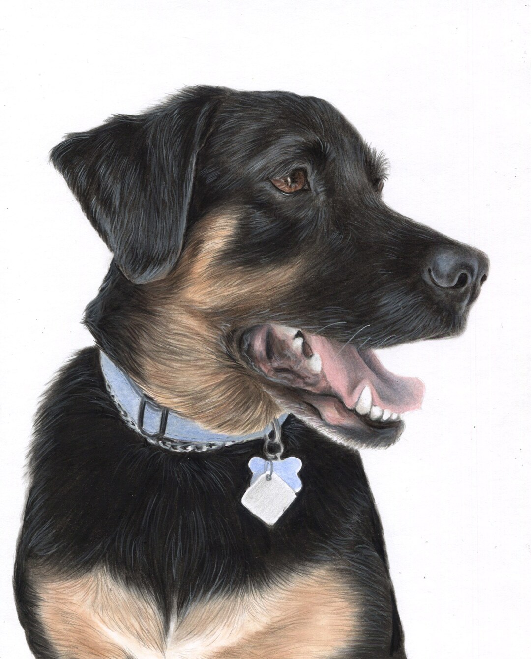 Pet Portrait Drawing Commission - Capture Your Beloved Pet's ...