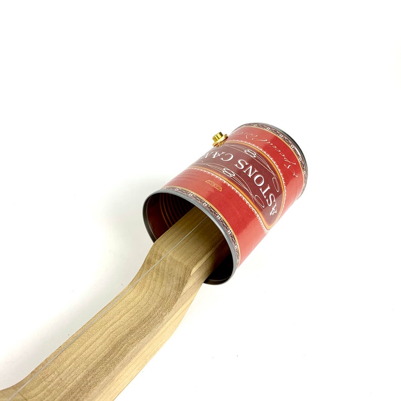 1 String Electric Diddley Bow Canjo | Etsy