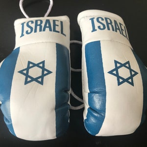 Mini Boxing Gloves Flag of Iran,ireland,republic of Ireland,israel ...