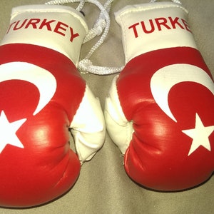Turkey Flag Mini Boxing Gloves Novelties Souvenir Cars - Etsy