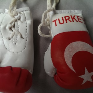 Turkey Flag Mini Boxing Gloves Novelties Souvenir Cars - Etsy