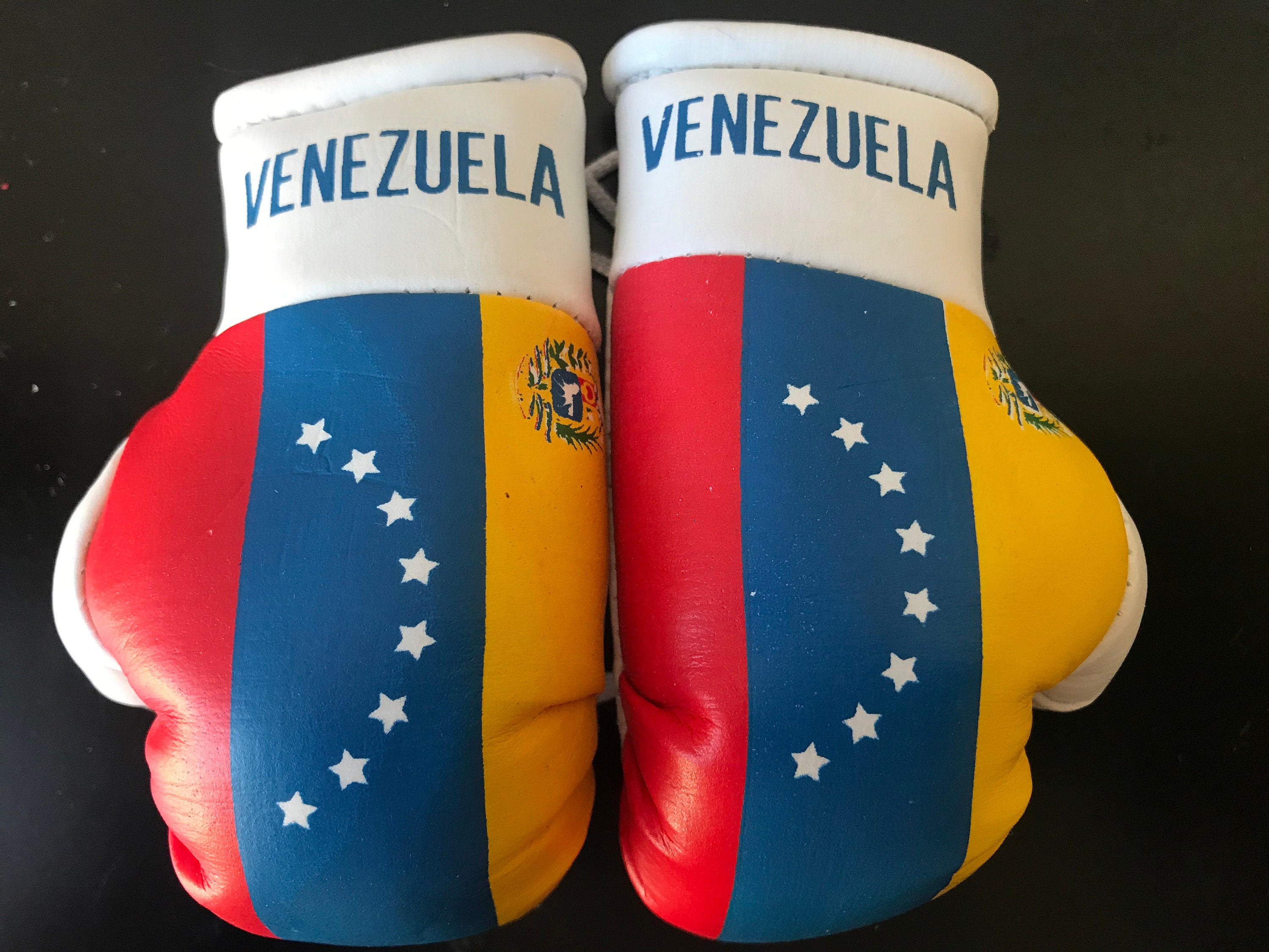 Mini Boxing Gloves Flag Of tajikistan,trinidad and Tobago,tunisia ...