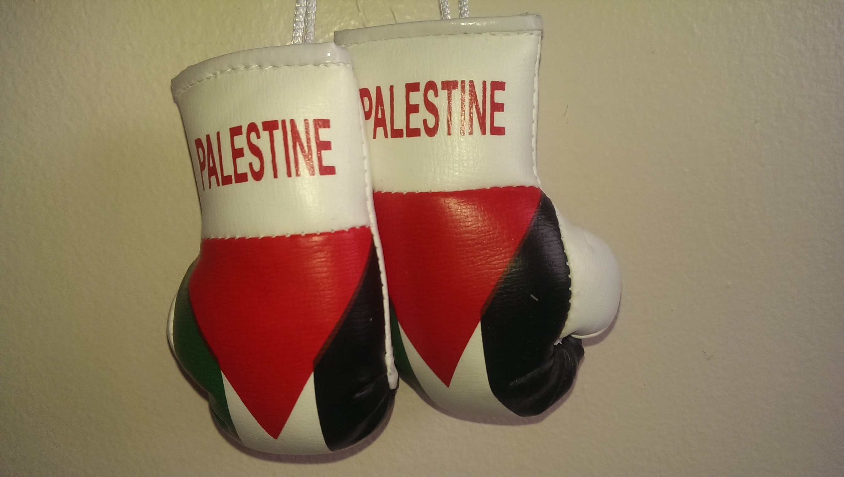 Palestine Flag Mini Boxing Gloves Novelties, Souvenir, Show, Purse ...