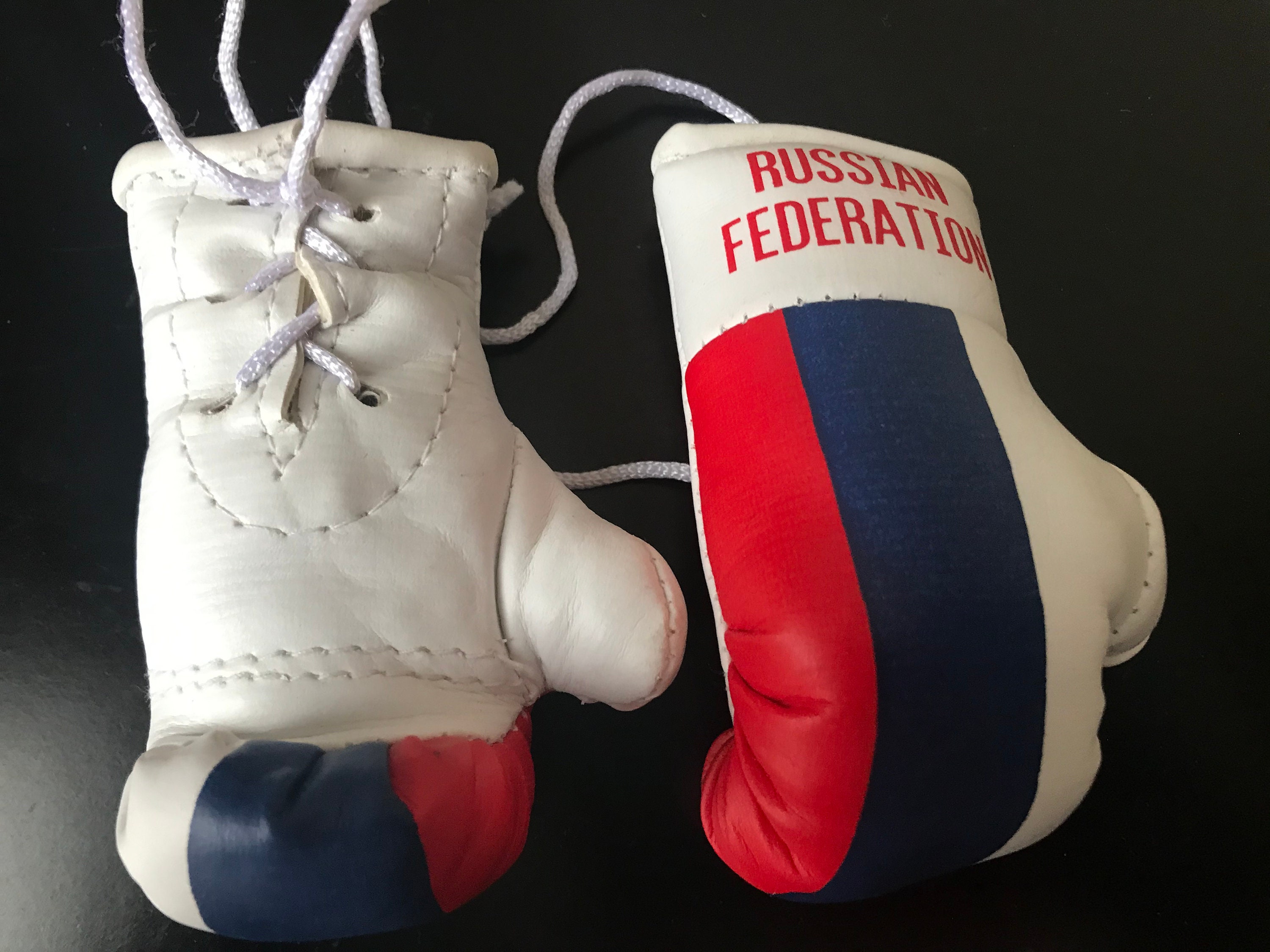 Russian Federation Flag Mini Boxing Gloves, Souvenir, Show, Purse ...