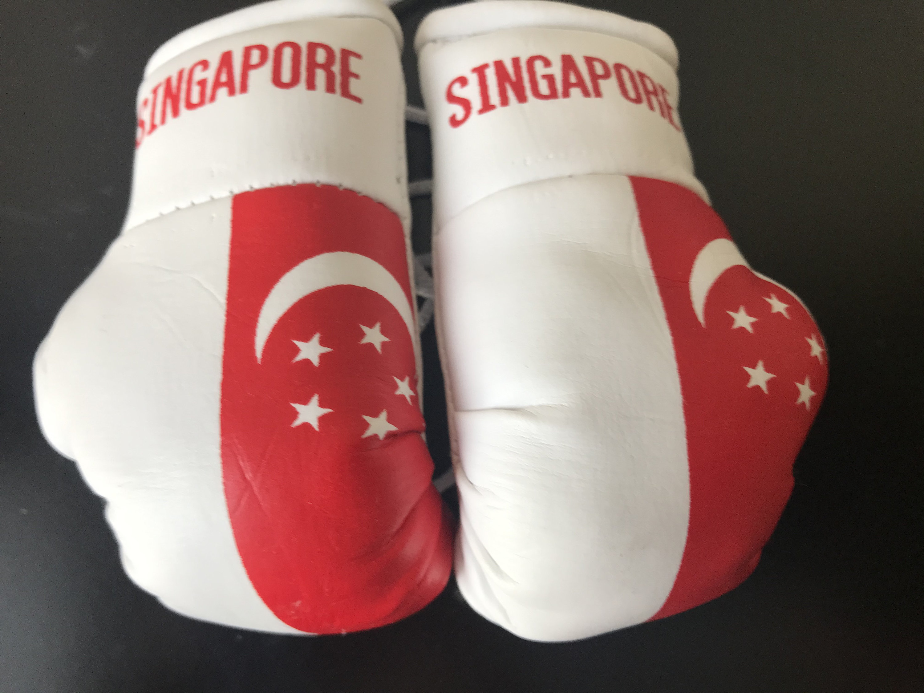 Mini Boxing Gloves Flag of Russian Federation Romania Samoa Scot Land ...