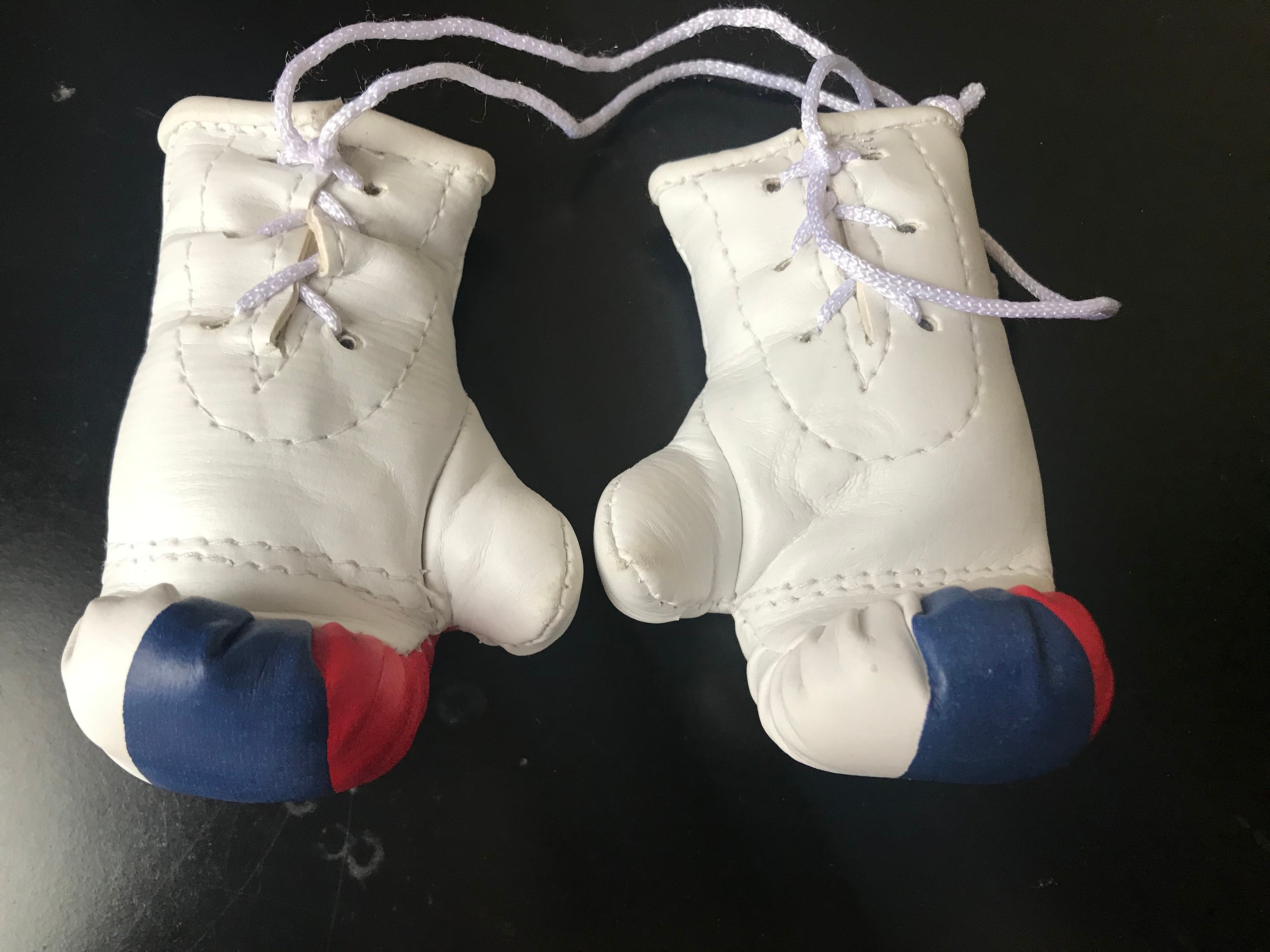 Russian Federation Flag Mini Boxing Gloves, Souvenir, Show, Purse ...