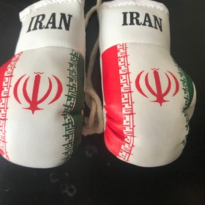 Mini Boxing Gloves Flag of Iran,ireland,republic of Ireland,israel ...