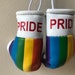 Pride Rainbow Flag Mini Boxing Gloves & Mini Boxing Gloves - Etsy