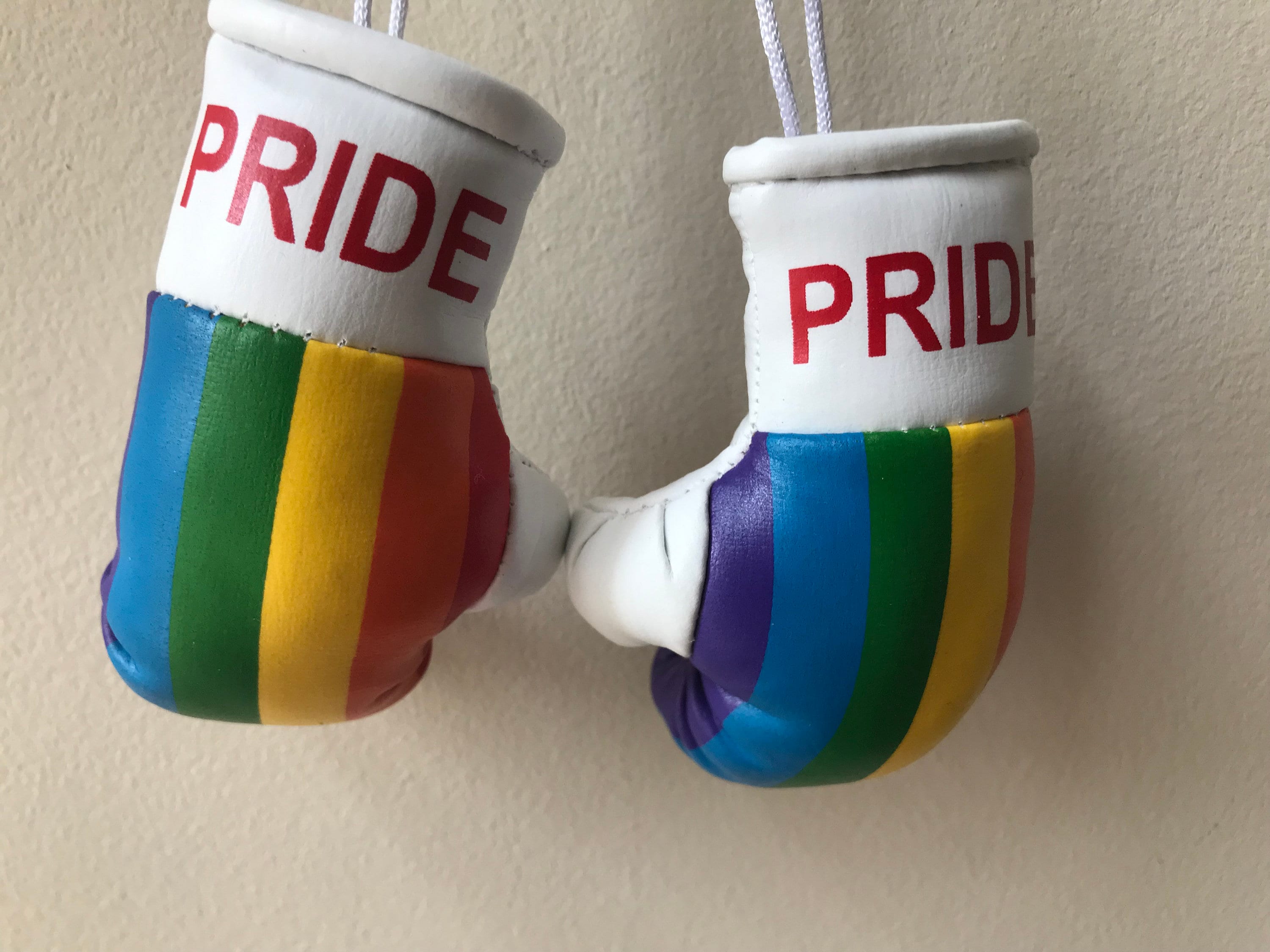 Pride Rainbow Flag Mini Boxing Gloves & Mini Boxing Gloves With Key ...