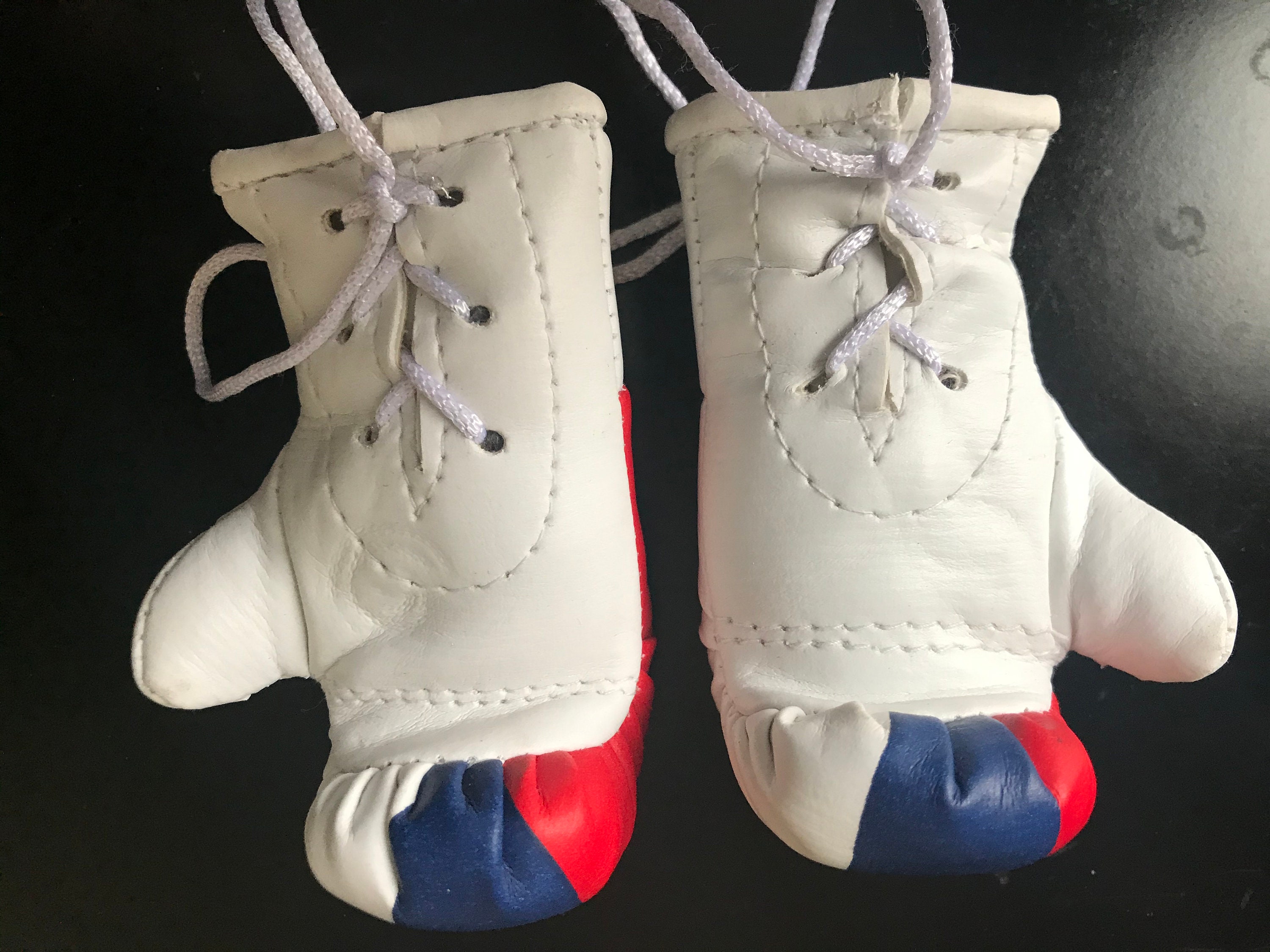 Russian Federation Flag Mini Boxing Gloves, Souvenir, Show, Purse ...