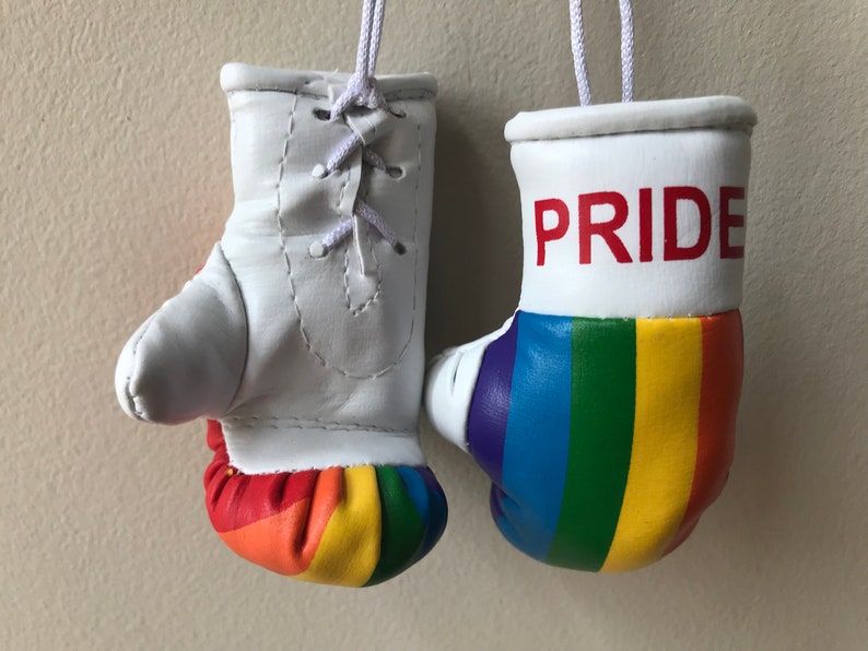 Pride Rainbow Flag Mini Boxing Gloves & Mini Boxing Gloves | Etsy