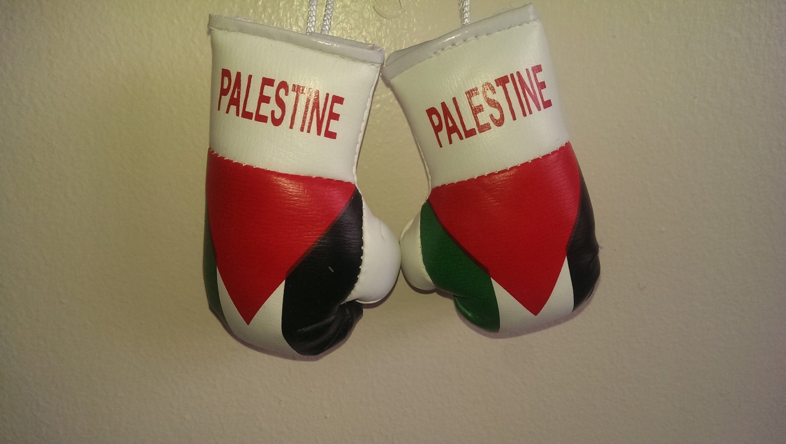 Palestine Flag Mini Boxing Gloves Novelties Souvenir Show | Etsy