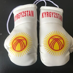 Mini Boxing Gloves Flag of Iran,ireland,republic of Ireland,israel ...