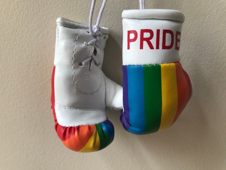 Pride Rainbow Flag Mini Boxing Gloves & Mini Boxing Gloves | Etsy