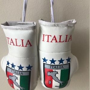 Italy Italia Flag Mini Boxing Gloves Novelties, Souvenir, Cars, Trucks ...