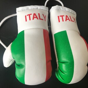 Mini Boxing Gloves Flag of Iran,ireland,republic of Ireland,israel ...