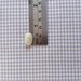 Three Types of White Buttons - Etsy