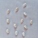 Three Types of White Buttons - Etsy