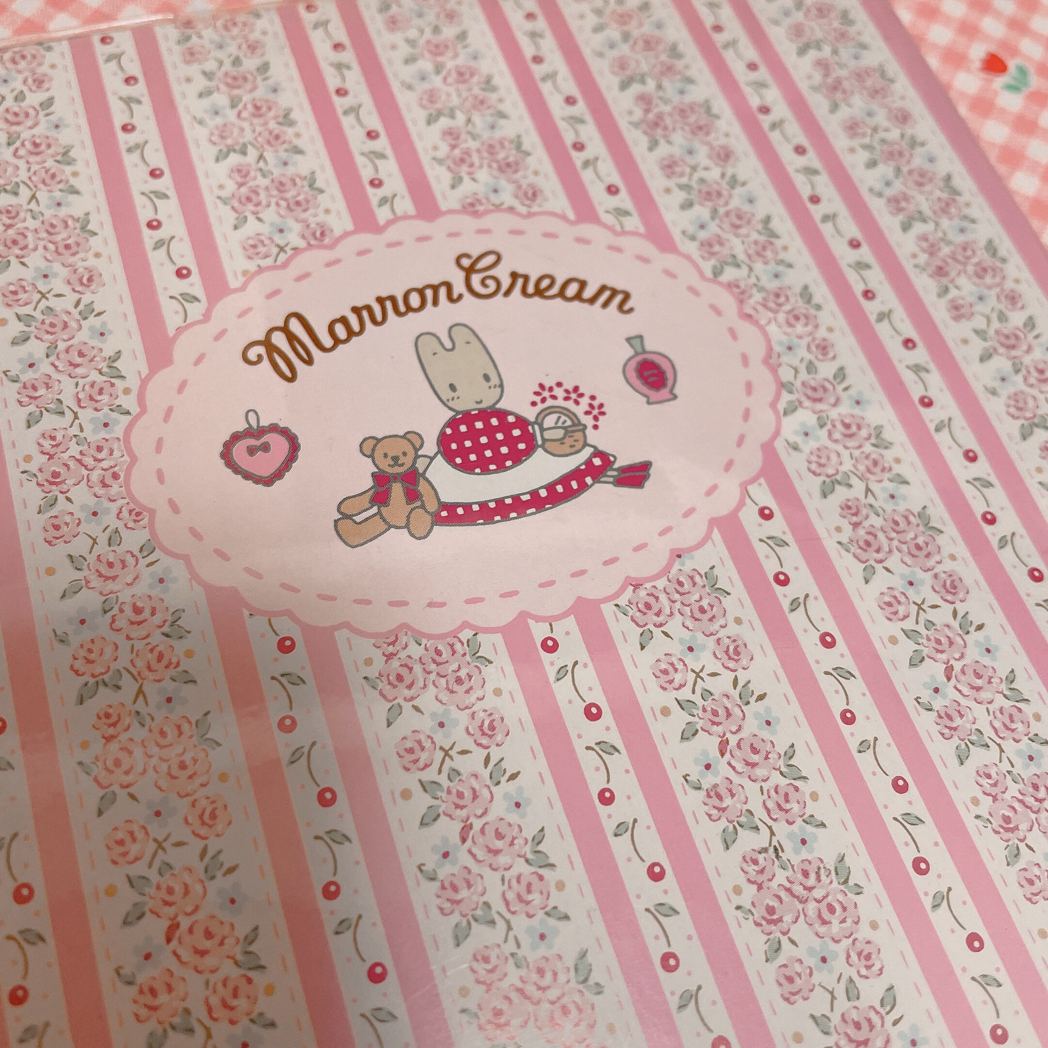 Vintage Sanrio Marron Cream Diary Journal Unused Vintage - Etsy