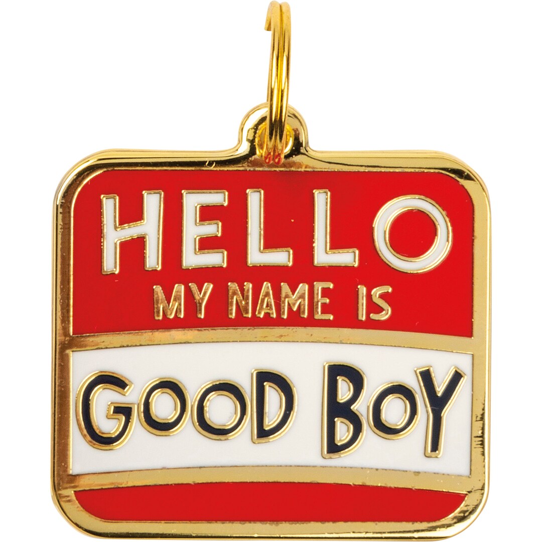 Dog Tag "hello My Name is Good Boy" - Etsy