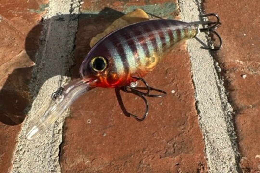 Nebula Rattling Bluegill Flash - Etsy