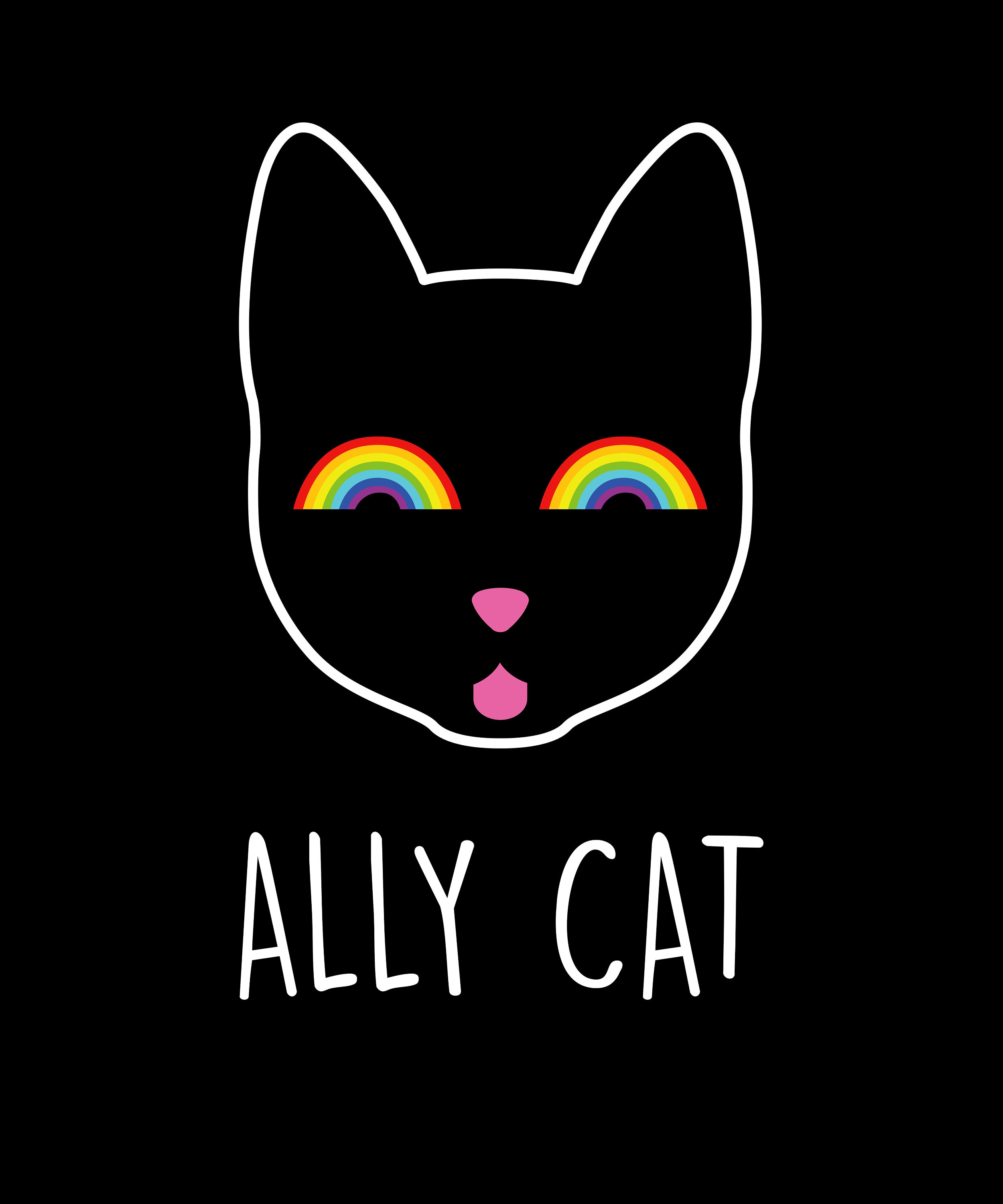 Ally Cat Shirt - Ally AF Shirt - Purride Shirt - LGBT Ally Shirt - LGBT ...