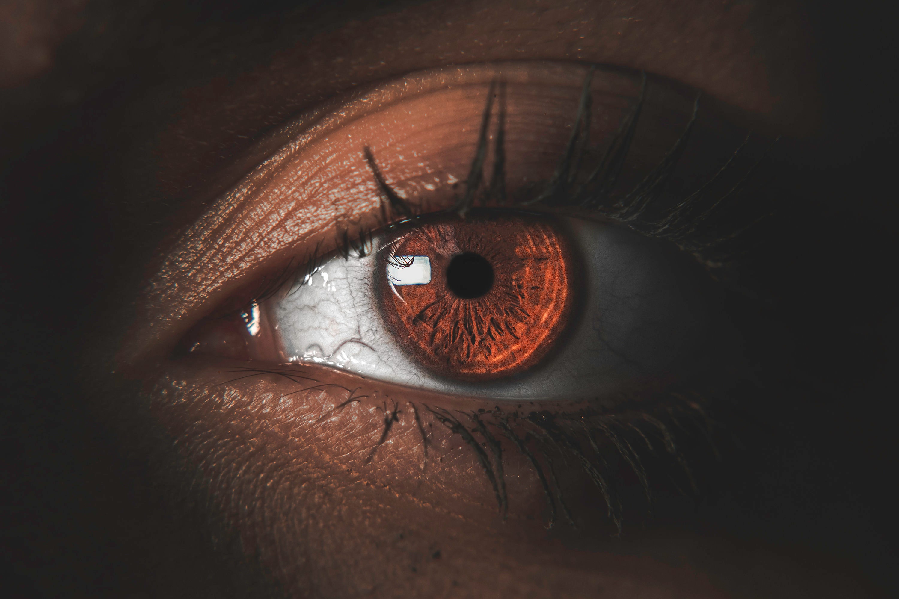 Eye, Unique, Pretty, Brown Eye, Girl Eye, Macro Photography, THE EYE - Etsy