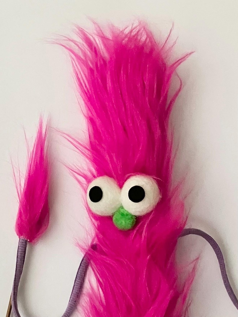 Fuzzy Lolli Pop Puppet With Character Card - Etsy