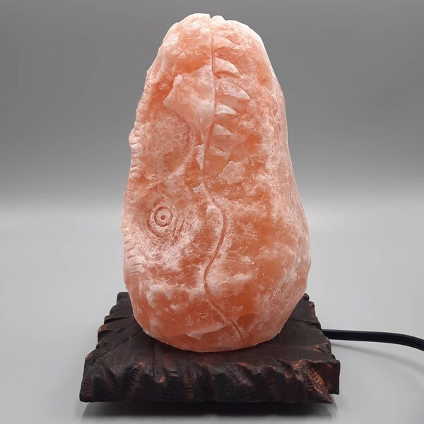 Himalayan Salt Lamp - Etsy