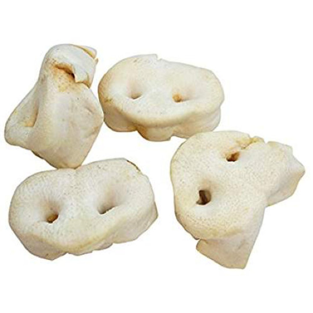 Puffed Pig Snouts - Etsy