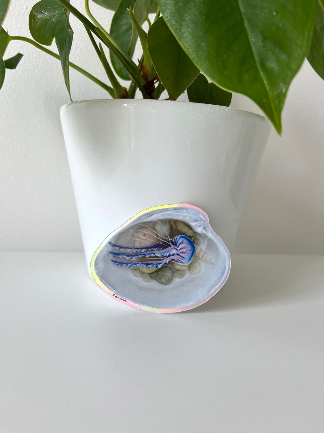 Jellyfish Shell Sticker - Etsy