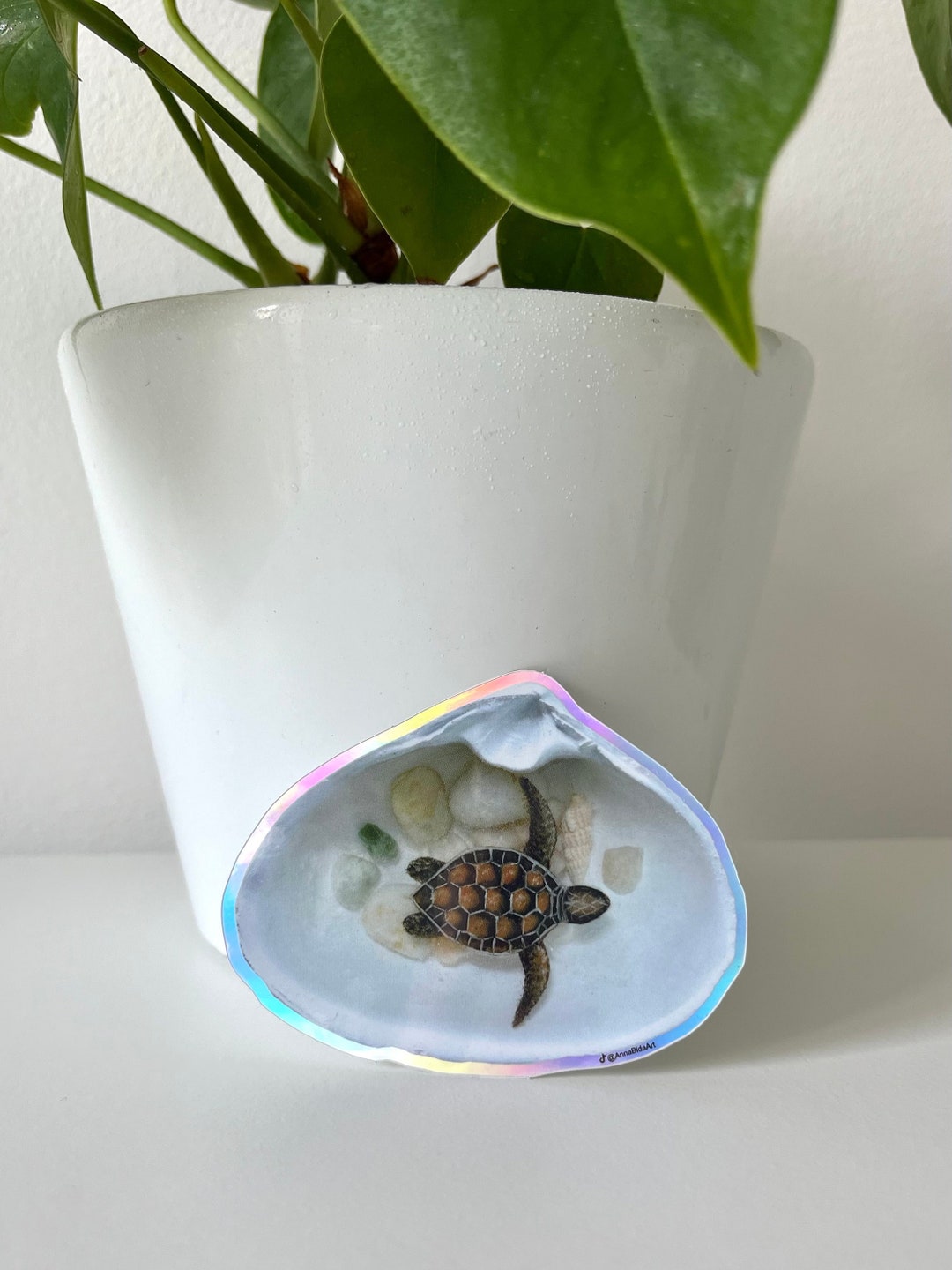 Sea Turtle Shell Sticker - Etsy