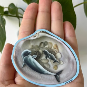 Beluga Whales Shell Sticker - Etsy