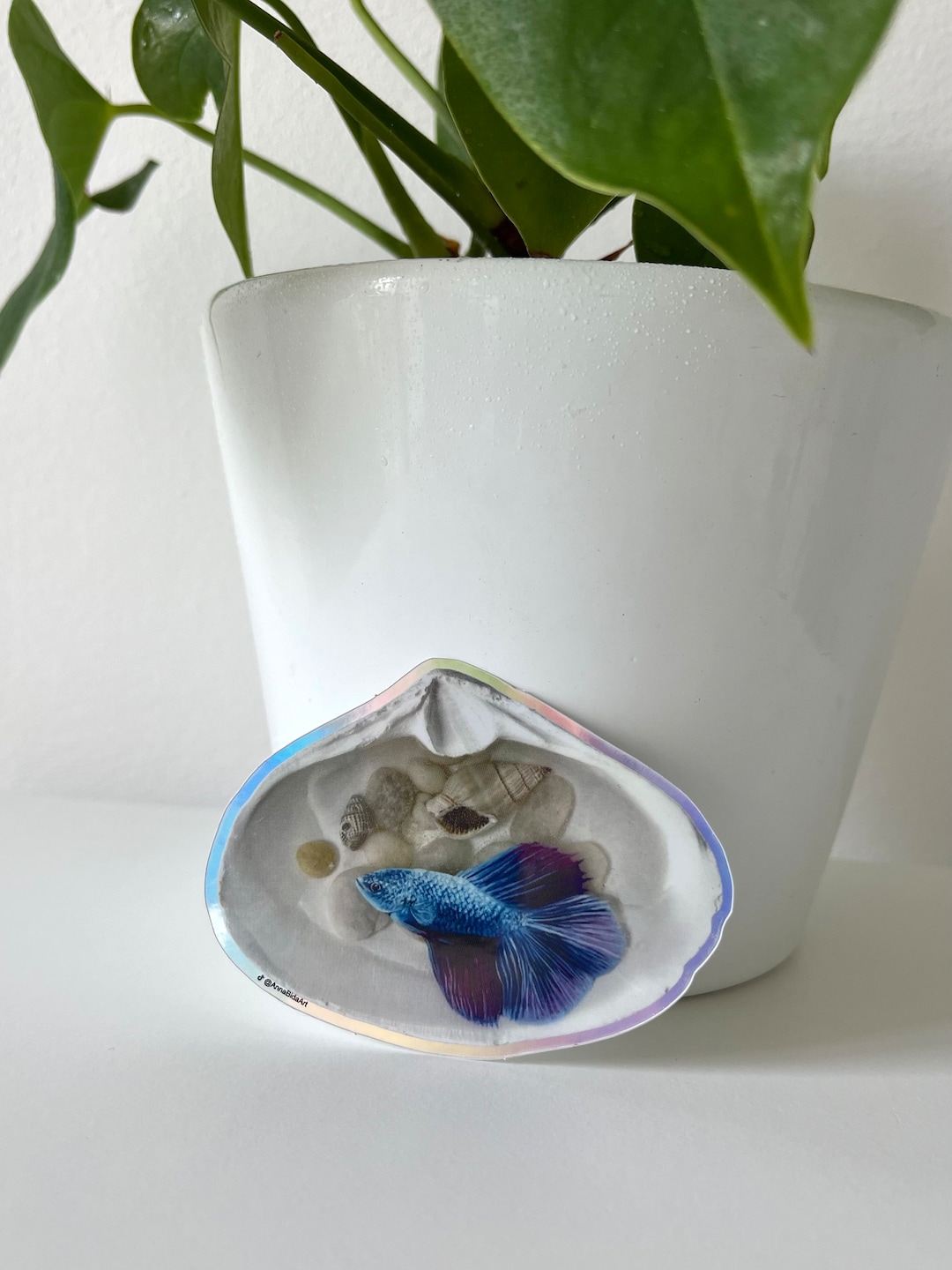 Betta Fish Shell Sticker - Etsy