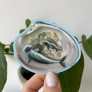 Beluga Whales Shell Sticker - Etsy