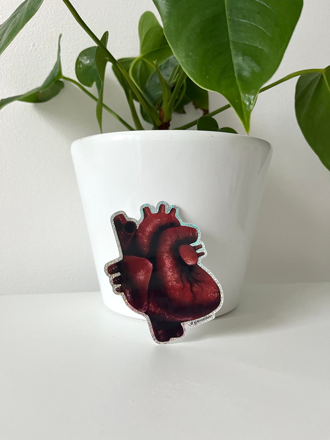 Human Heart Sticker - Etsy